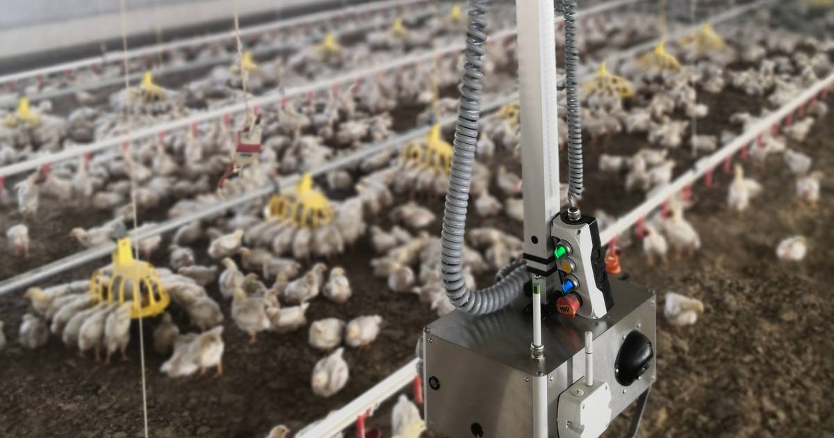 Ceiling-suspended robot provides continuous monitoring of chickens ...