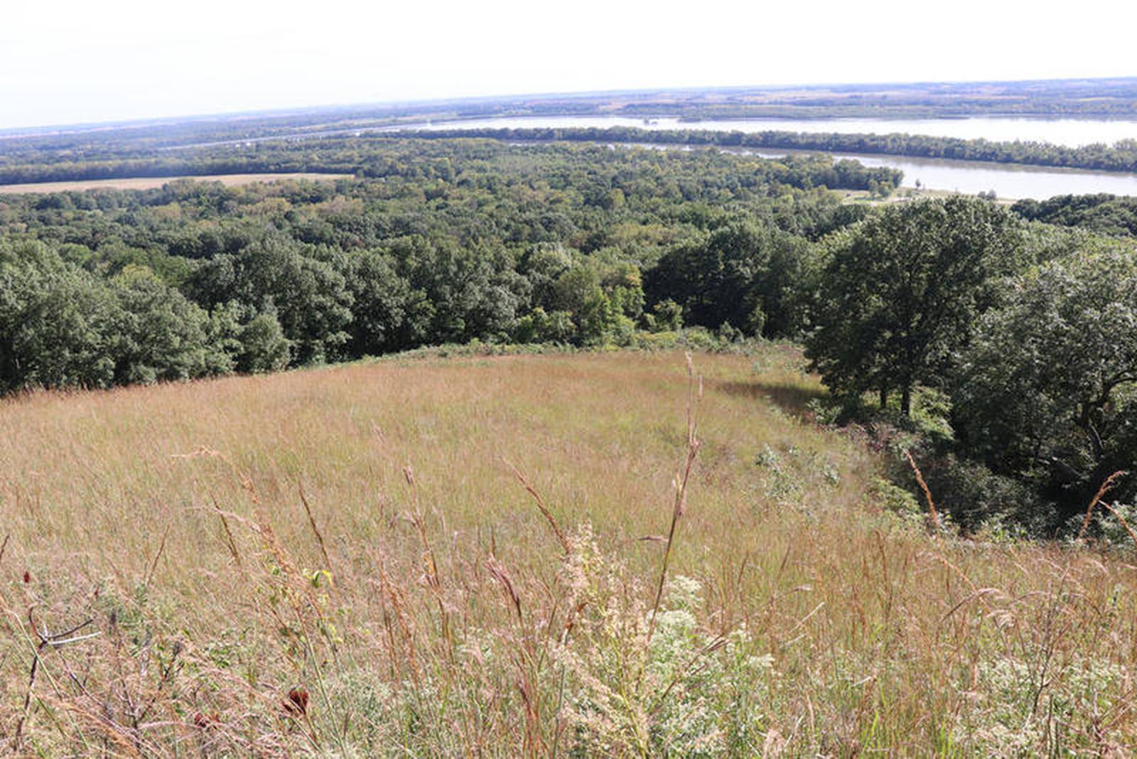 Reviving, restoring Illinois hill prairies – AgriNews