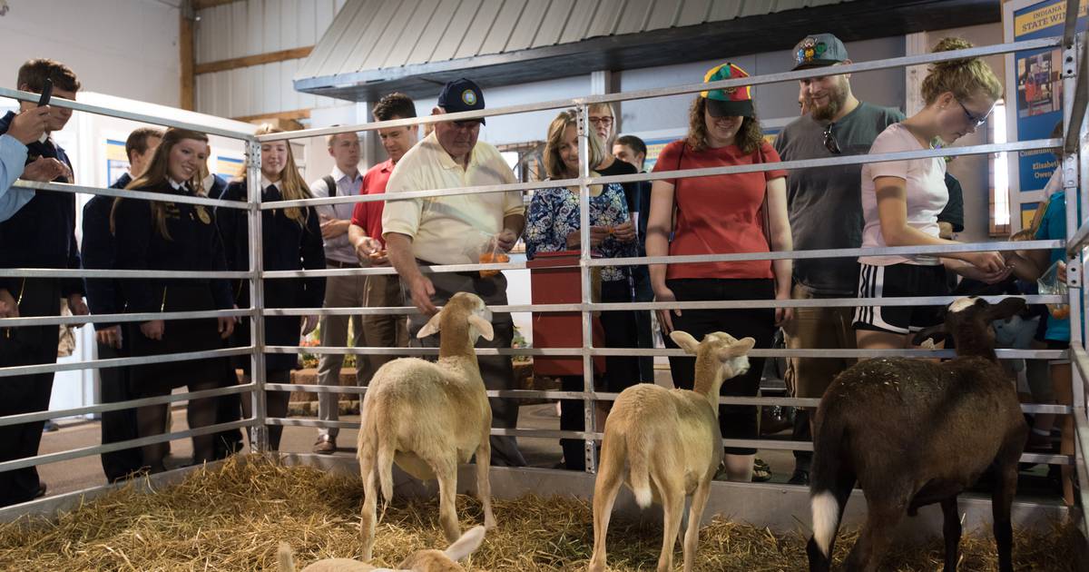 State Fair in sheep shape – AgriNews