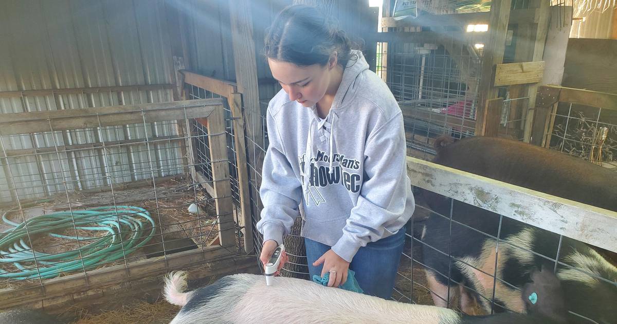 Star in Agriscience finalists – AgriNews