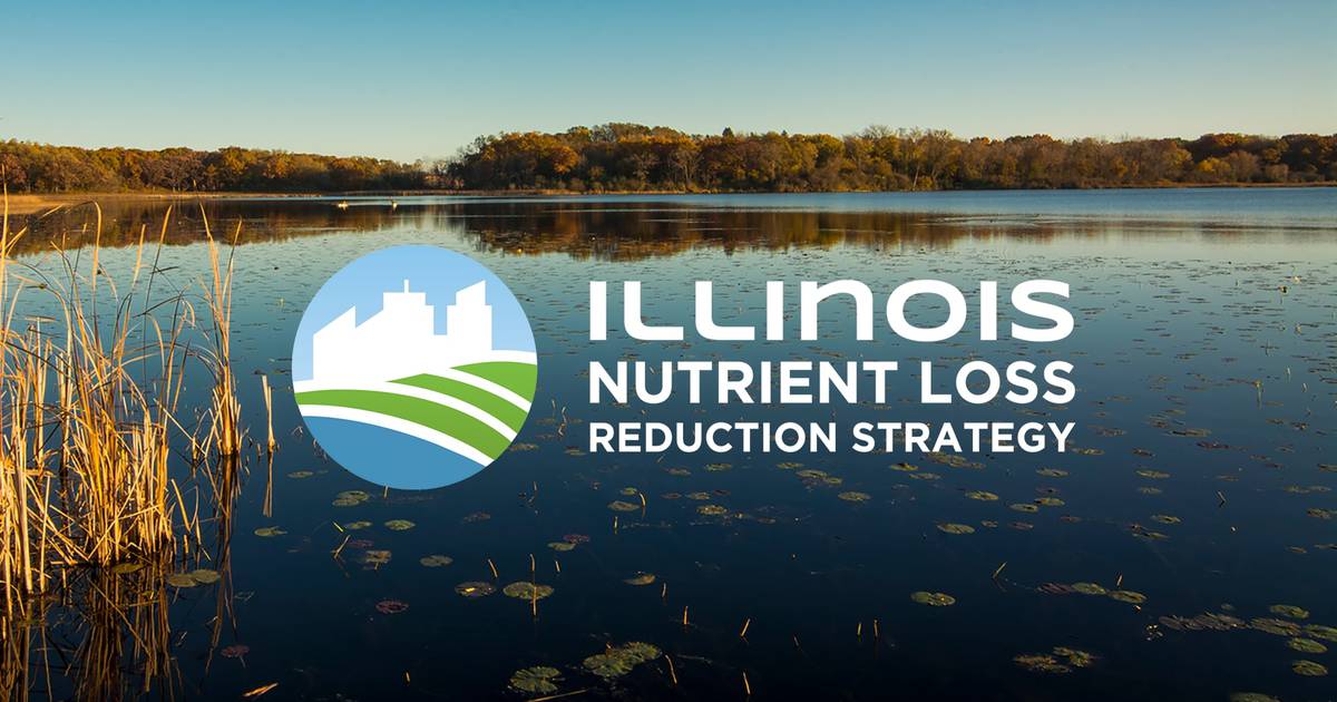 Report details Illinois’ nutrient loss efforts – AgriNews