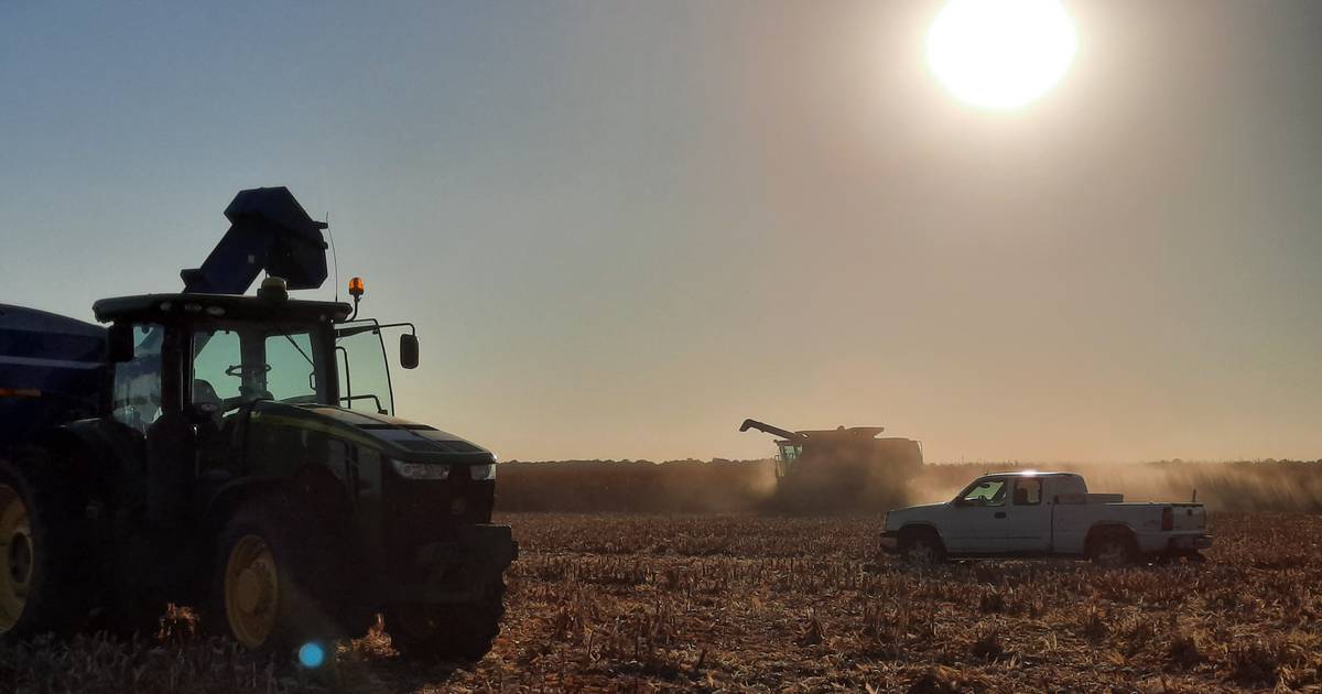 Extension Notebook: Using a flexible cash farm lease – AgriNews
