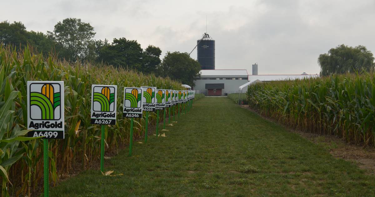 AgriGold continues research, development of specialty products – AgriNews