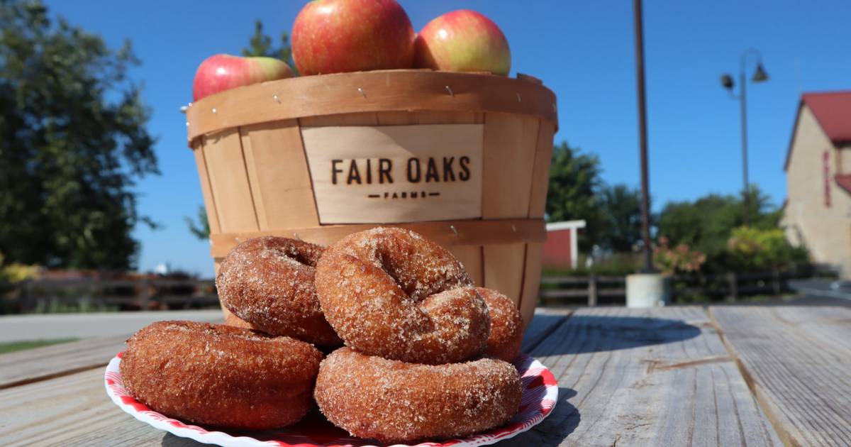 Enjoy seasonal fun at Fair Oaks Farms – AgriNews