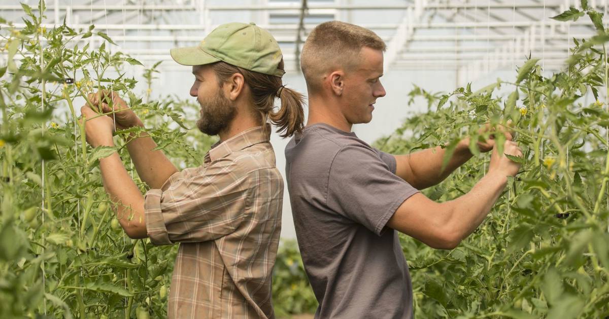 Rethinking Agronomy Day at U of I means pop-up events and more – AgriNews