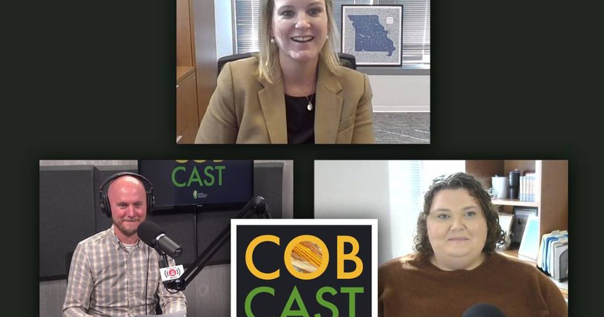 Corn supporters win most election races – AgriNews