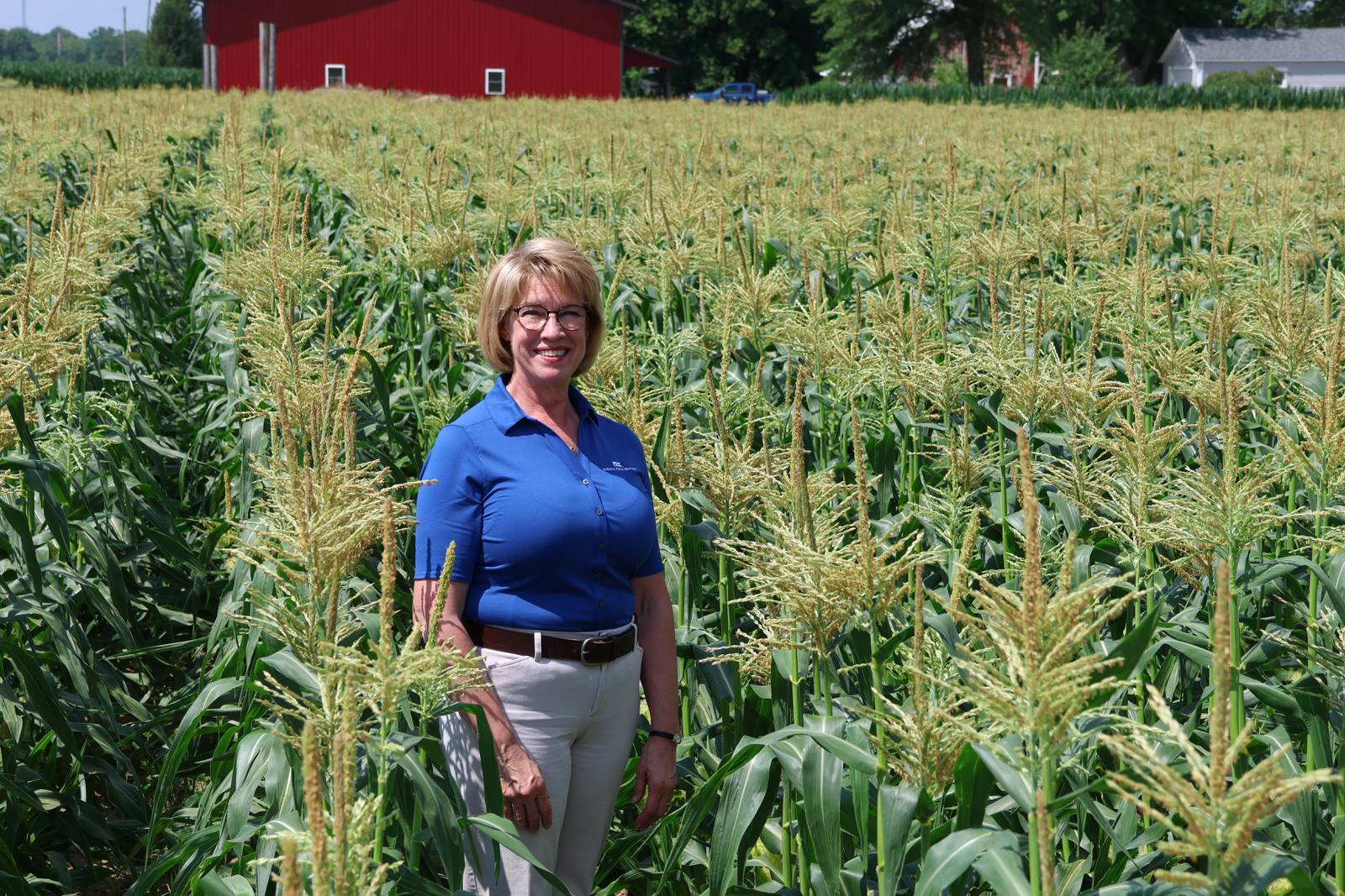 From the Fields: Yields beyond expectation – AgriNews
