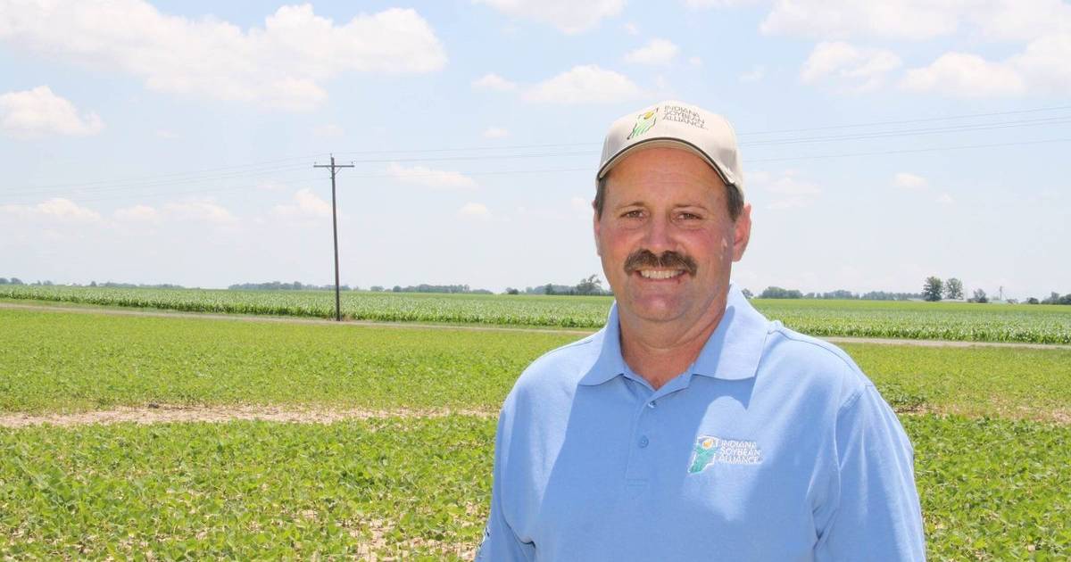 High oleic soybean contracts available for Indiana farmers – AgriNews