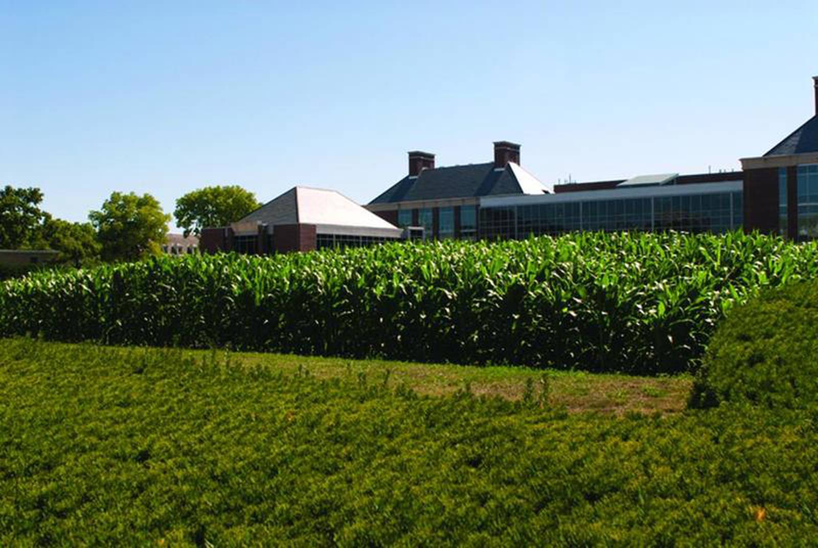 Lessons Of Morrow Plots Historic Fields Featured At Agronomy Day Agrinews