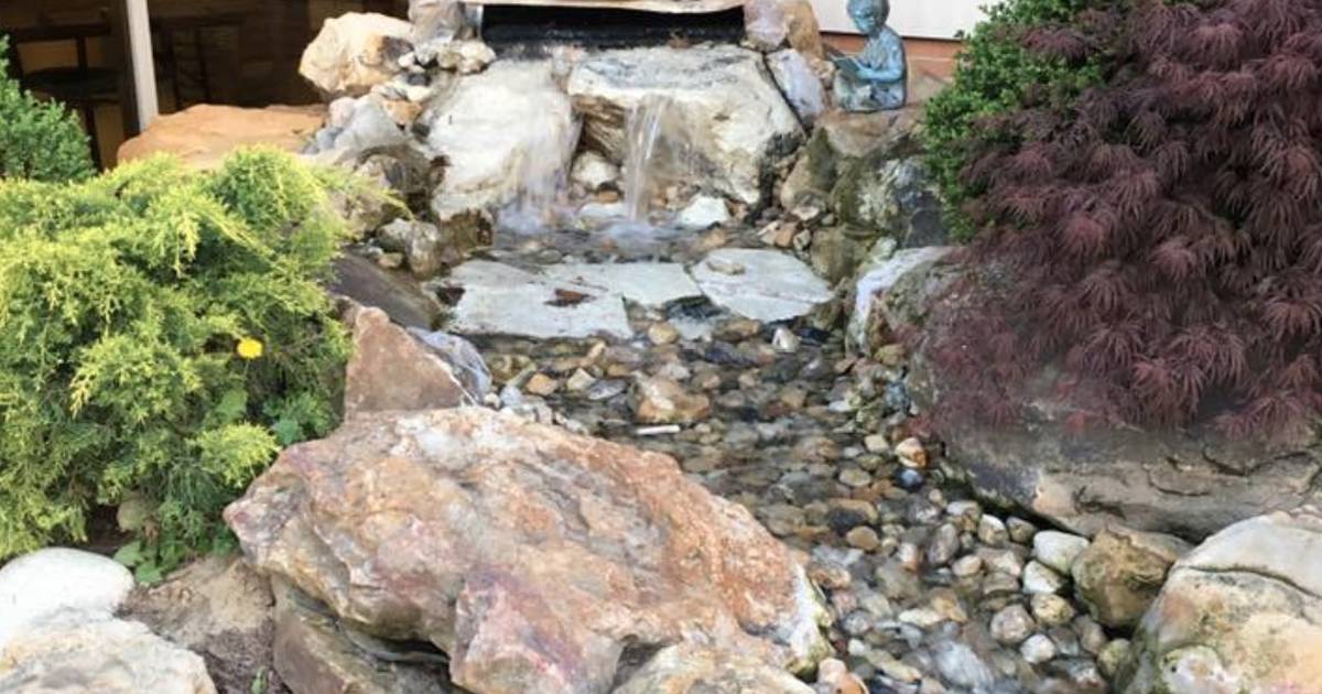 5 benefits of rainscaping – AgriNews