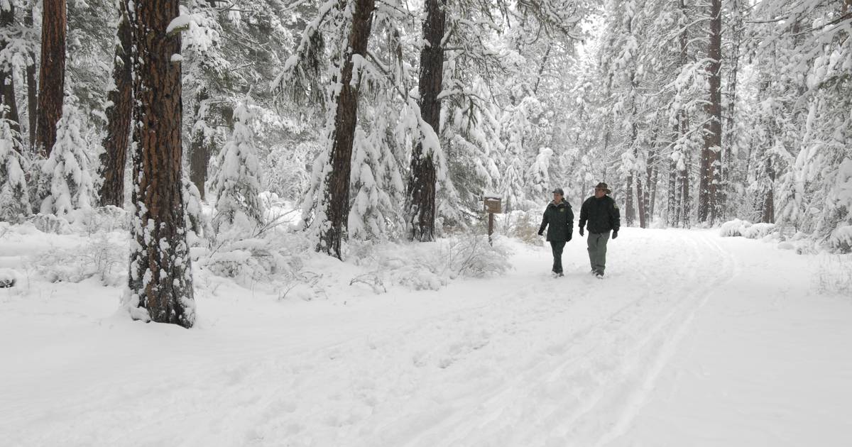 Stay safe this winter: Avoid winter weather-related accidents – AgriNews