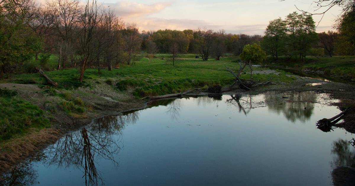 Briggs: EPA is muddying the waters once again – AgriNews