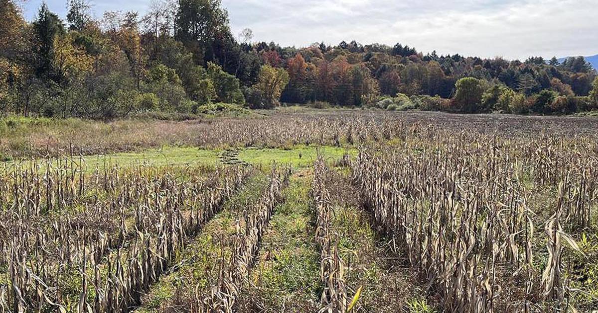 NRCS unveils new easement option – AgriNews