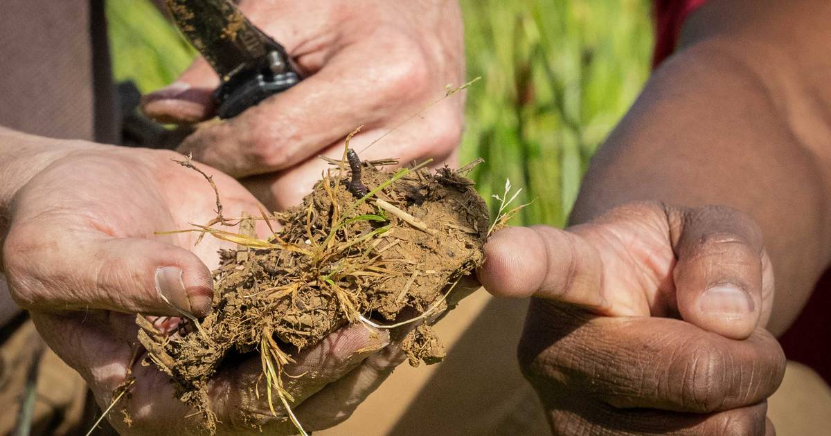 New record set for conservation practices in Indiana – AgriNews