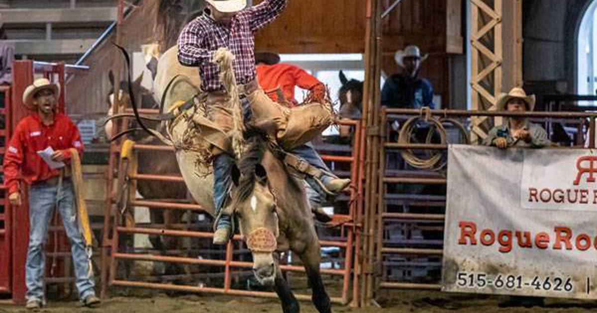 Experience the daily life of a farmer at fair exhibit – AgriNews