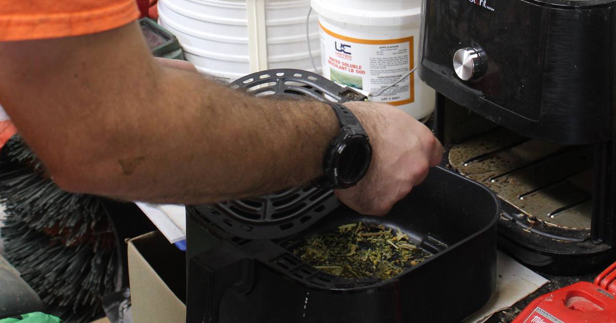 Chopping block: Growing season pushes silage later into September ...