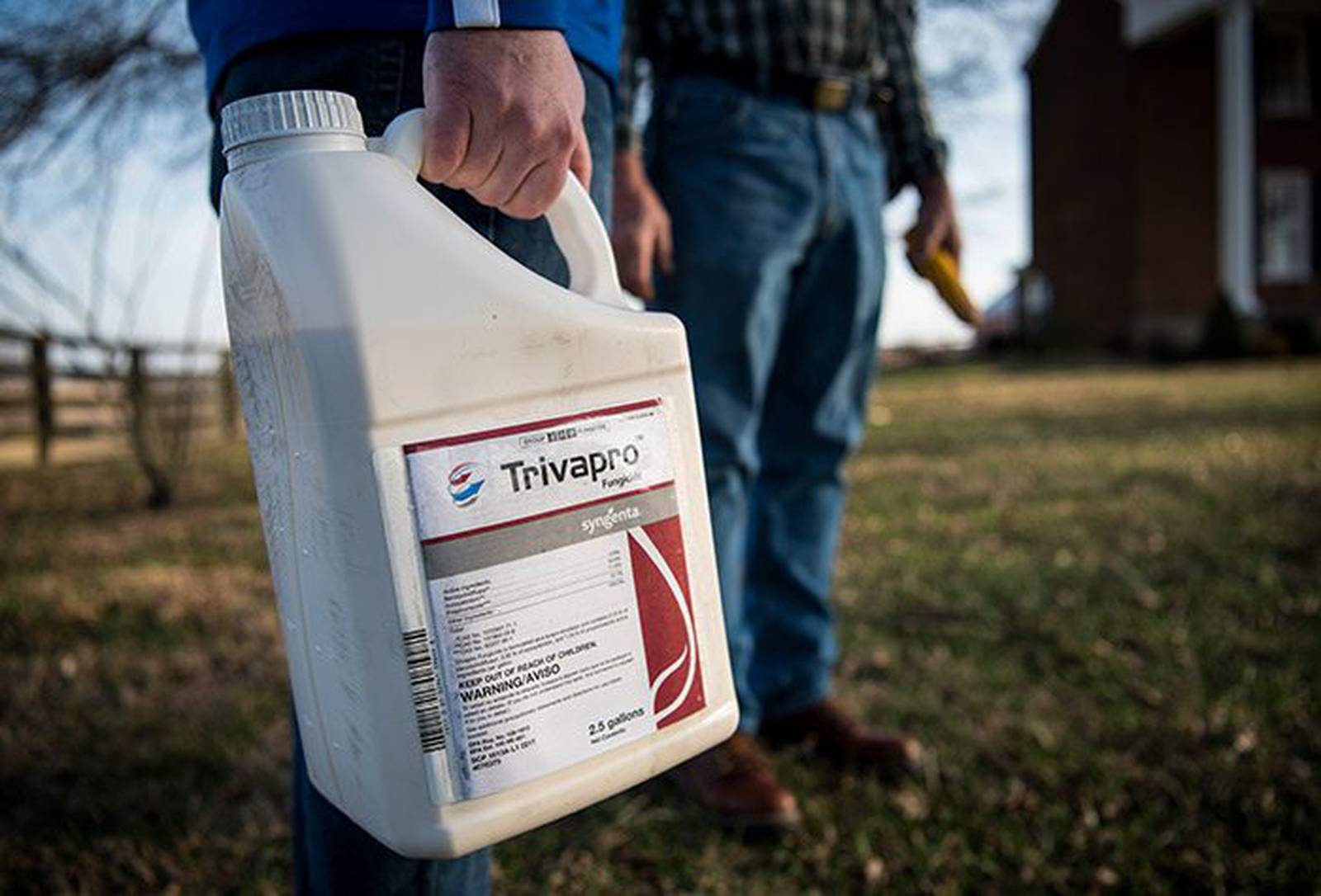 Fungicides offer benefits beyond disease control – AgriNews