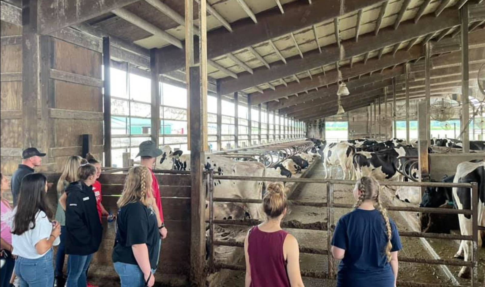 Virtual field trip held at dairy farm – AgriNews